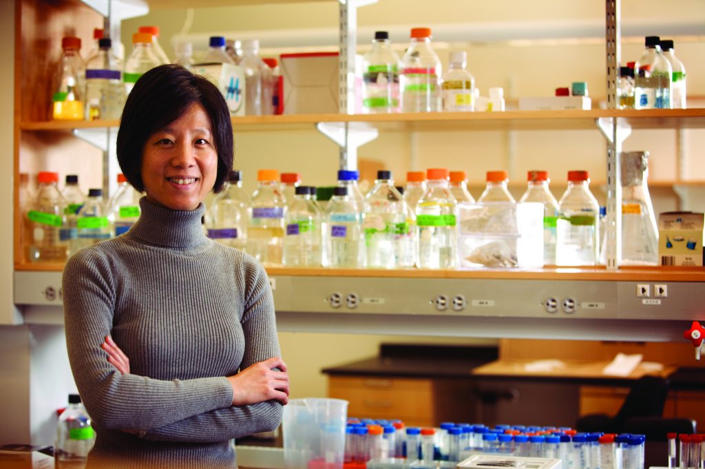 Video Profile: Yingxi Lin - MIT McGovern Institute