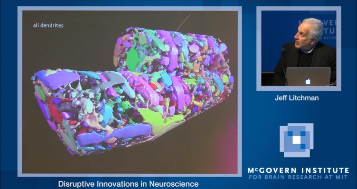 Disruptive Innovations in Neuroscience: Jeff Lichtman - MIT McGovern ...