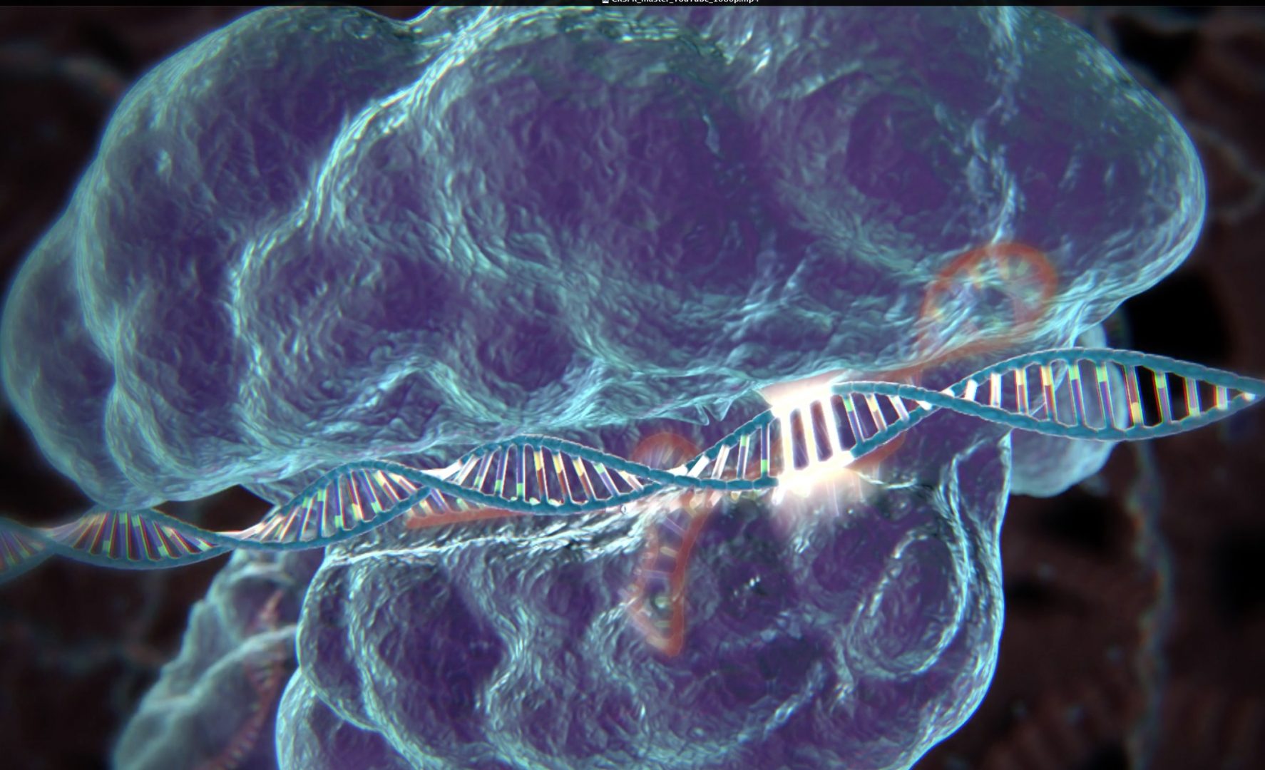 Genome Editing with CRISPR-Cas9 (Chinese Translation) - MIT McGovern ...