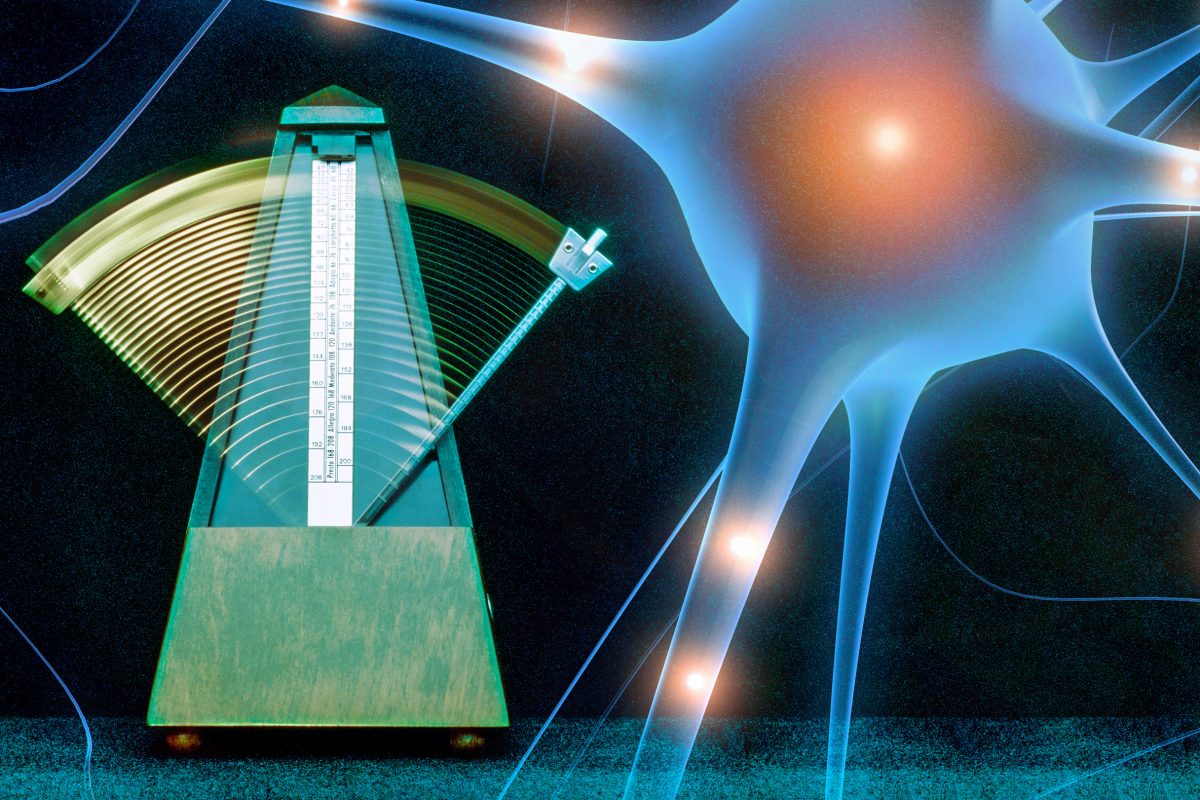 How the brain keeps time - MIT McGovern Institute