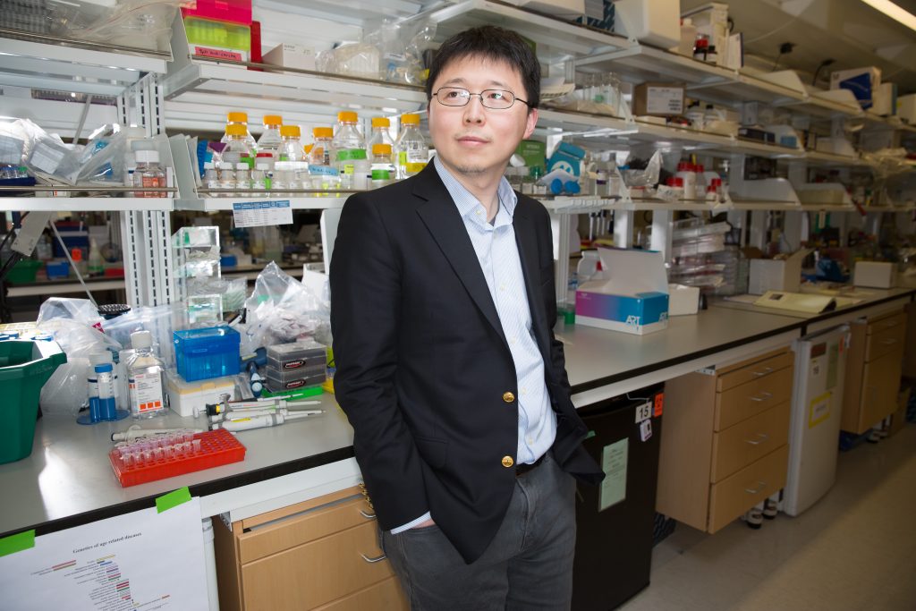 Toward a better understanding of the brain - MIT McGovern Institute