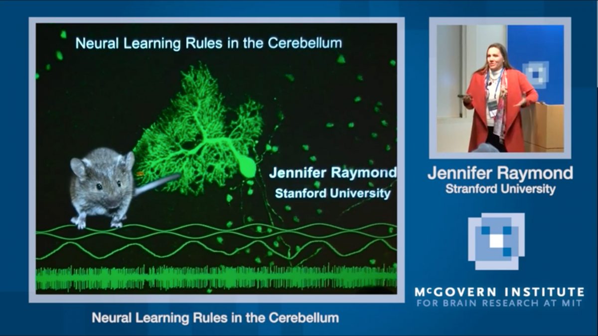 2016 McGovern Symposium: Jennifer Raymond - MIT McGovern Institute