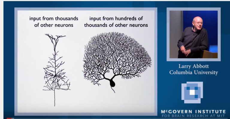 2017 Sharp Lecture: Larry Abbott - MIT McGovern Institute