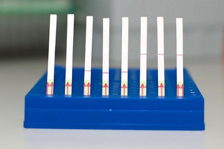 Enabling coronavirus detection using CRISPR-Cas13: An open-access ...