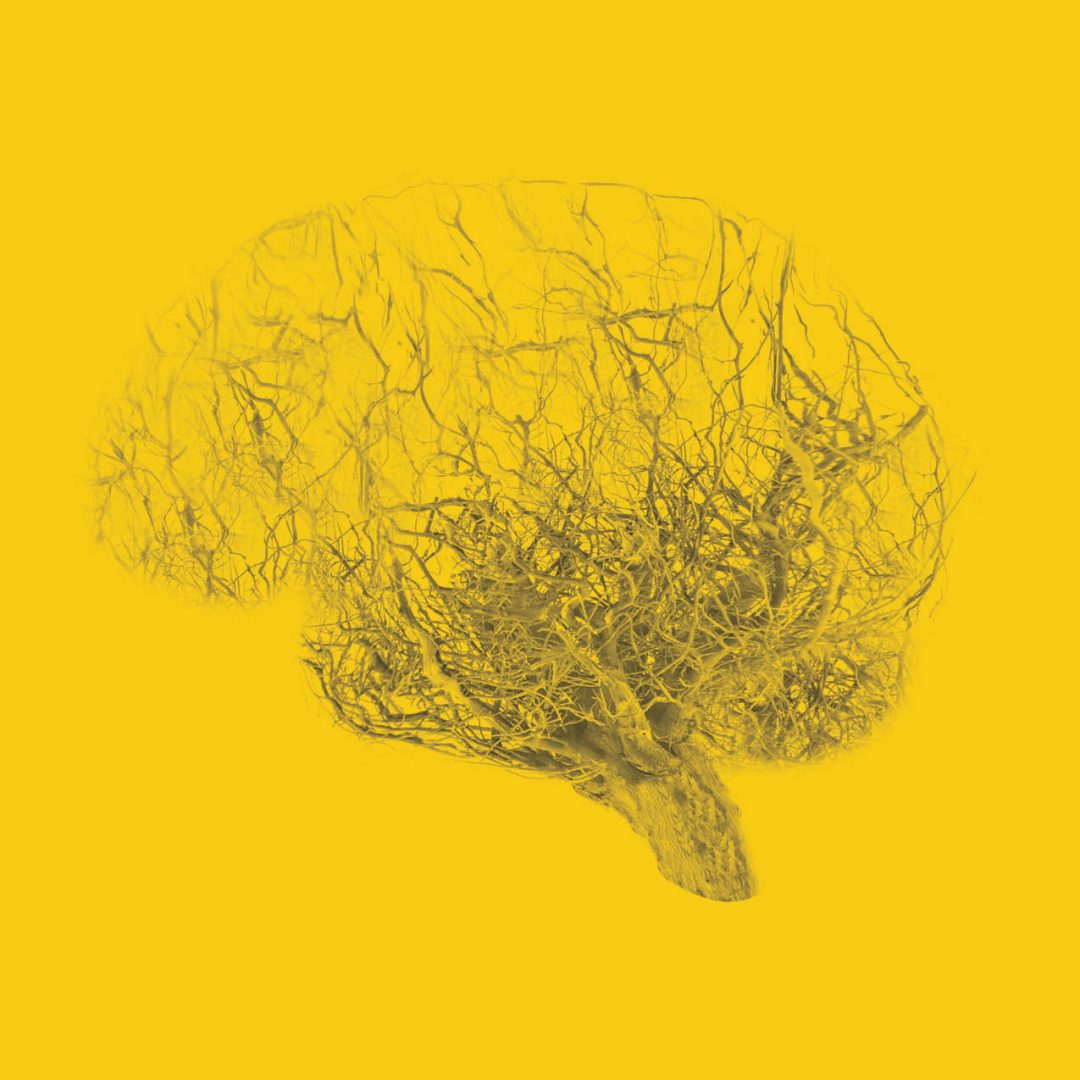 Decoding Addiction - MIT McGovern Institute Decoding Addiction - MIT McGovern Institute