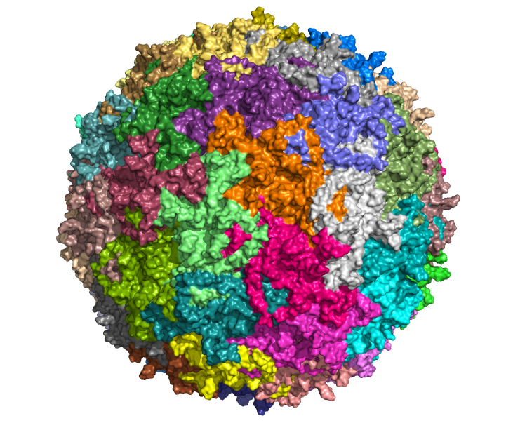 Powered by viruses - MIT McGovern Institute