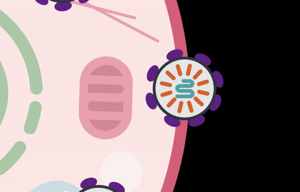 Scientists harness human protein to deliver molecular medicines to ...