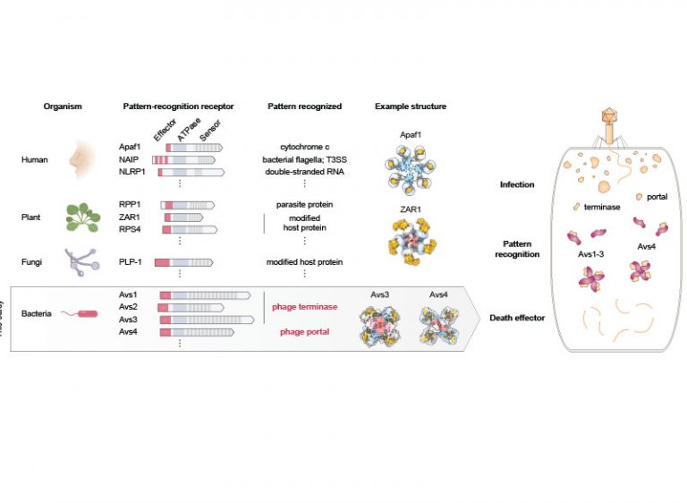 Feng Zhang Archives - MIT McGovern Institute