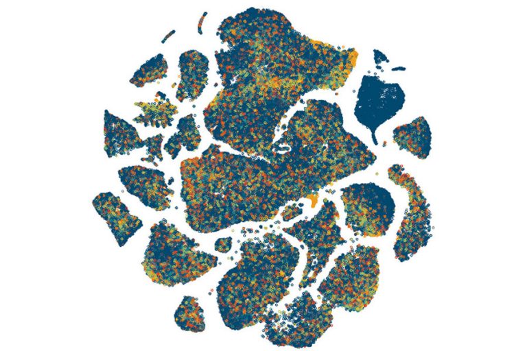 New cellular census maps the complexity of a primate brain - MIT McGovern Institute