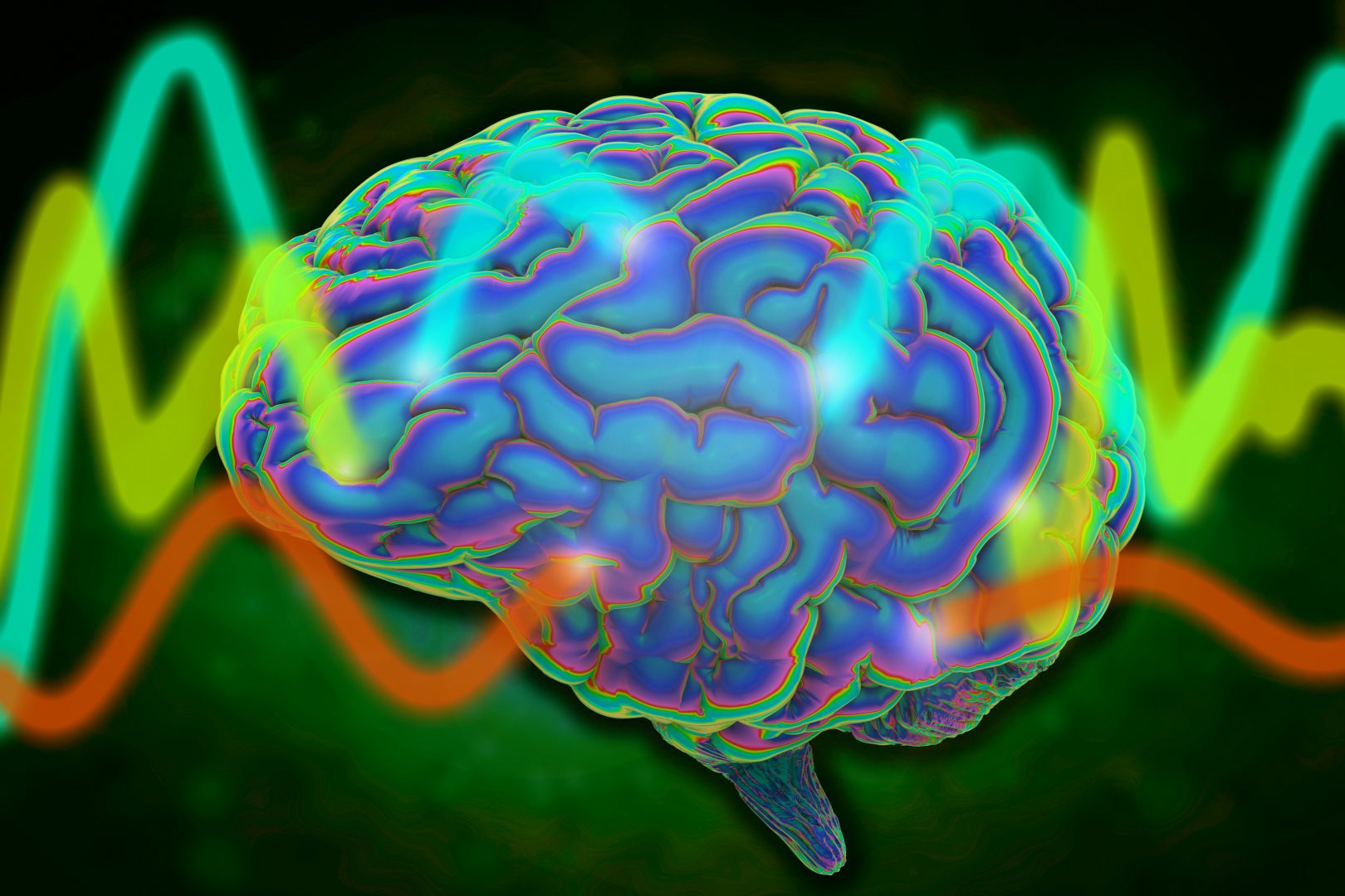 Study reveals a universal pattern of brain wave frequencies - MIT ...