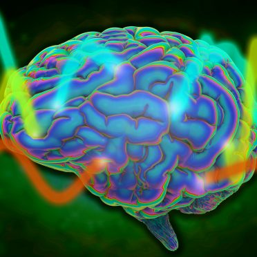 Unraveling the Mysteries of the Brain - MIT McGovern Institute