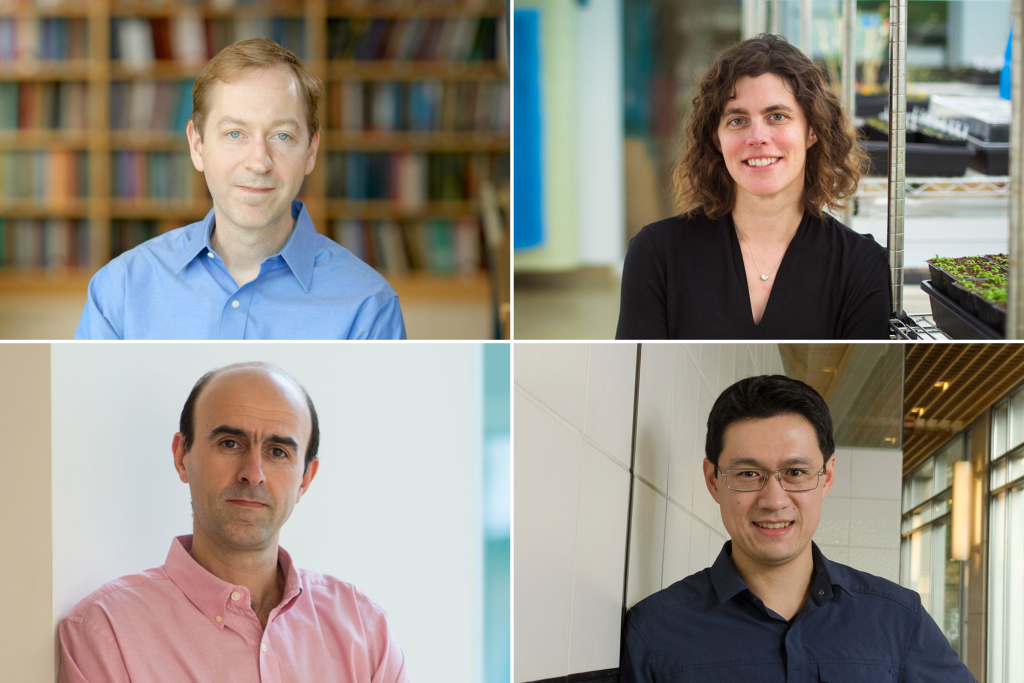Four MIT faculty named 2024 HHMI Investigators - MIT McGovern Institute